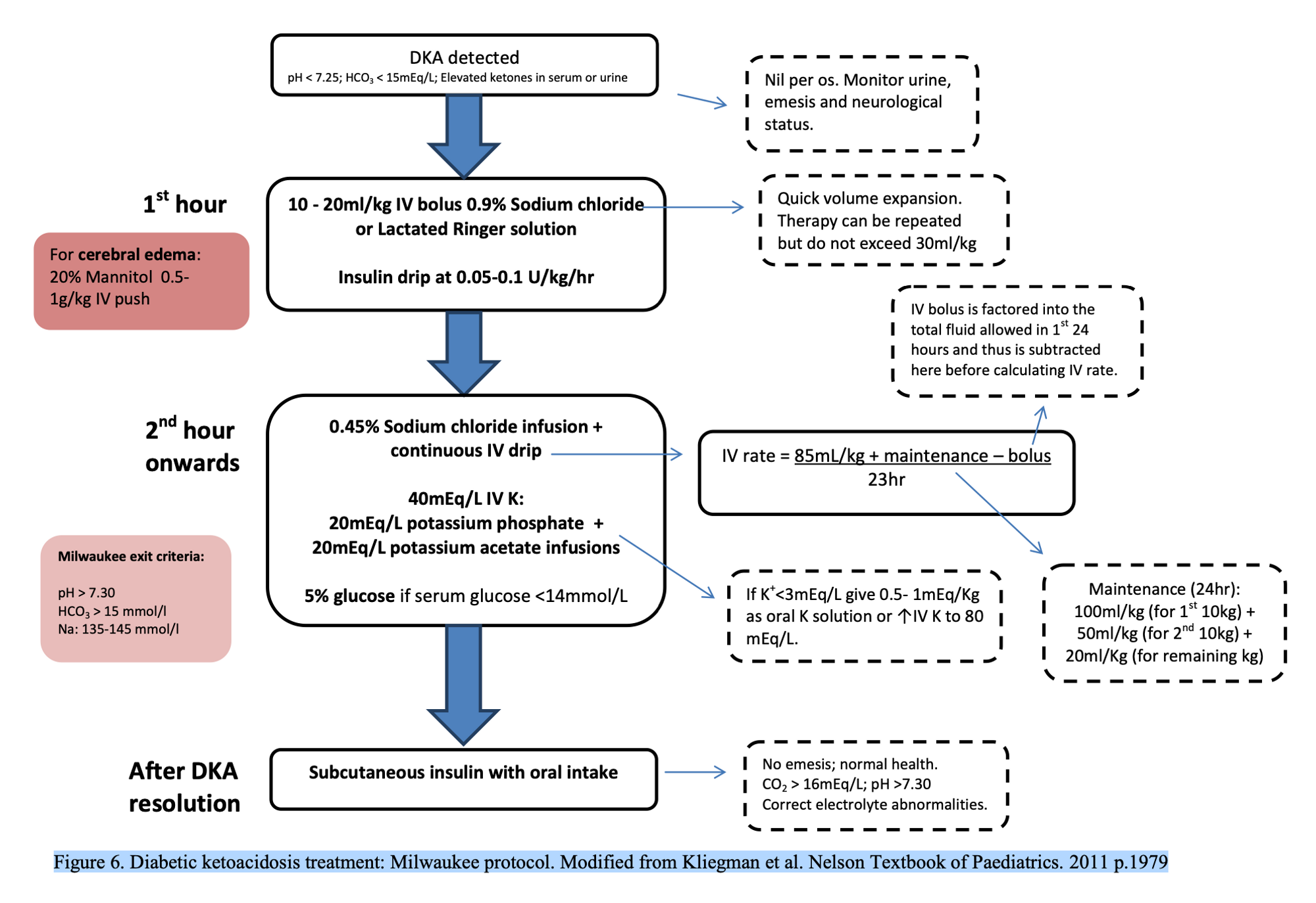 [논란 포인트] 소아 DKA에서 insulin 주입 바로 시작?(Nelson) vs fluid 주입 1시간 이후부터 시작 ...