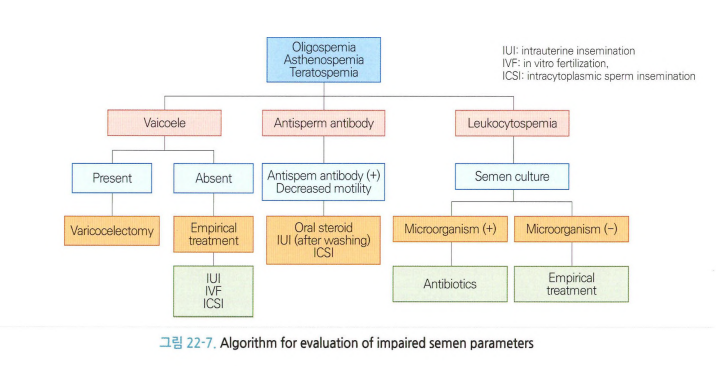 남성인자에 의한 불임 | 메디톡